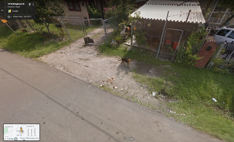 48 Weird And Funny Images Caught On Google Maps Street View