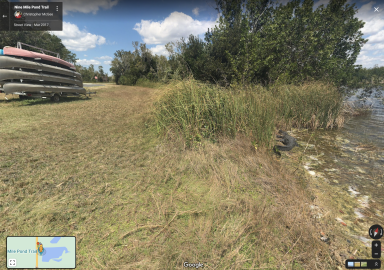 48 Weird And Funny Images Caught On Google Maps Street View