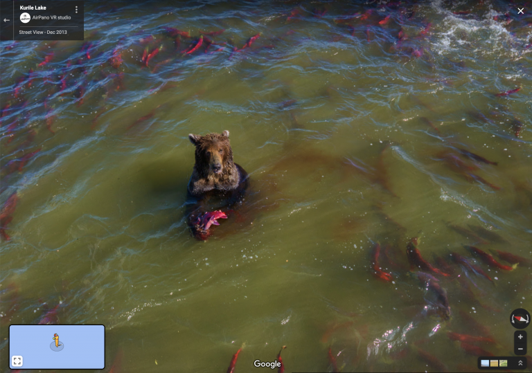 48 Weird And Funny Images Caught On Google Maps Street View