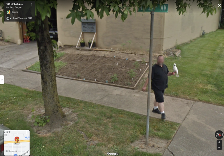 48 Weird And Funny Images Caught On Google Maps Street View | Journo ...